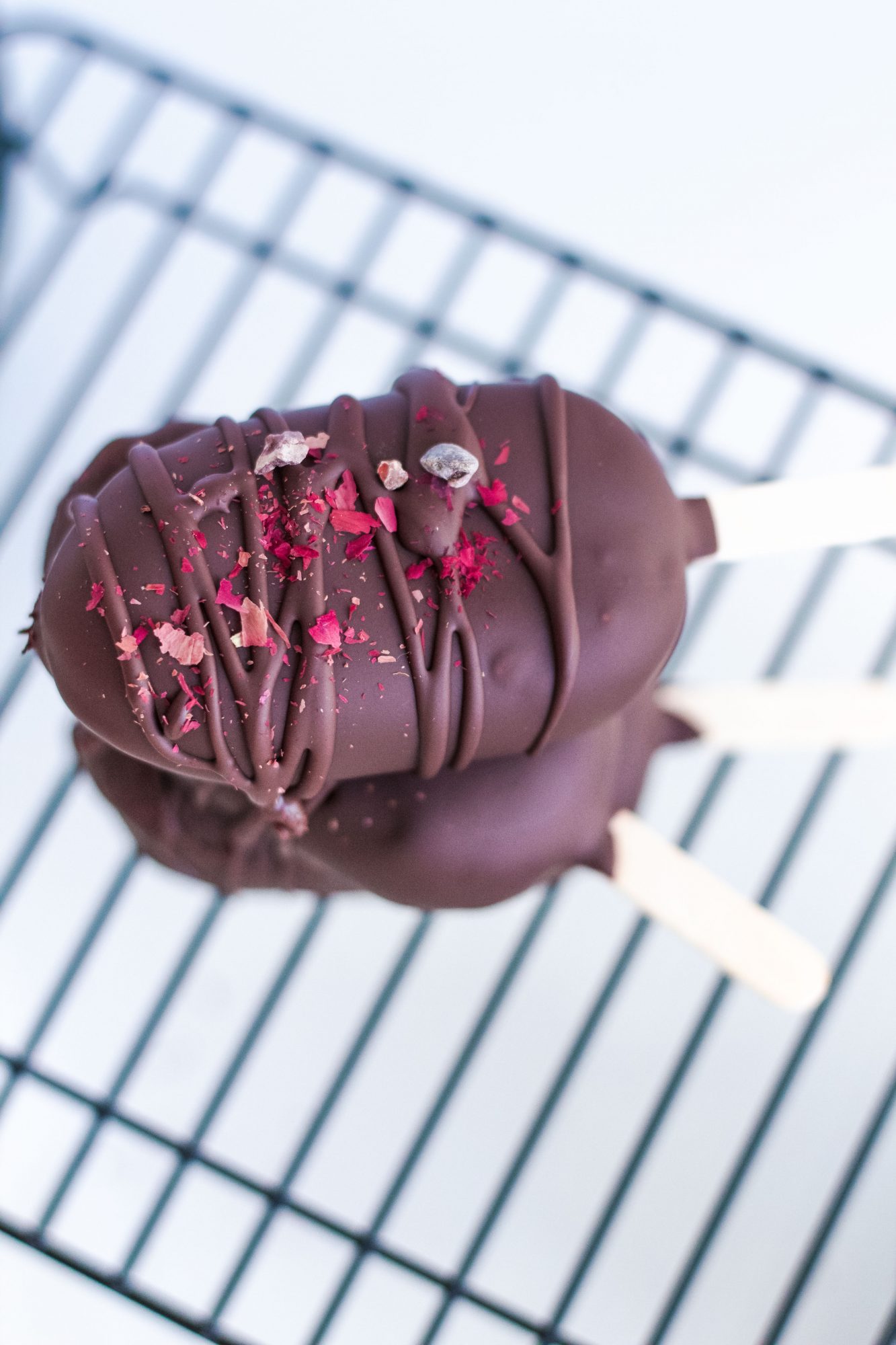 Raw Vegan Chocolate Protein Pops - Rezel Kealoha