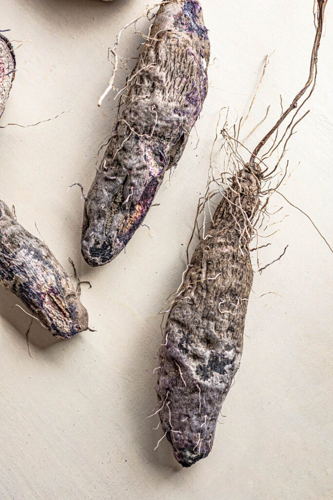 How to grow Ube in California - Rezel Kealoha