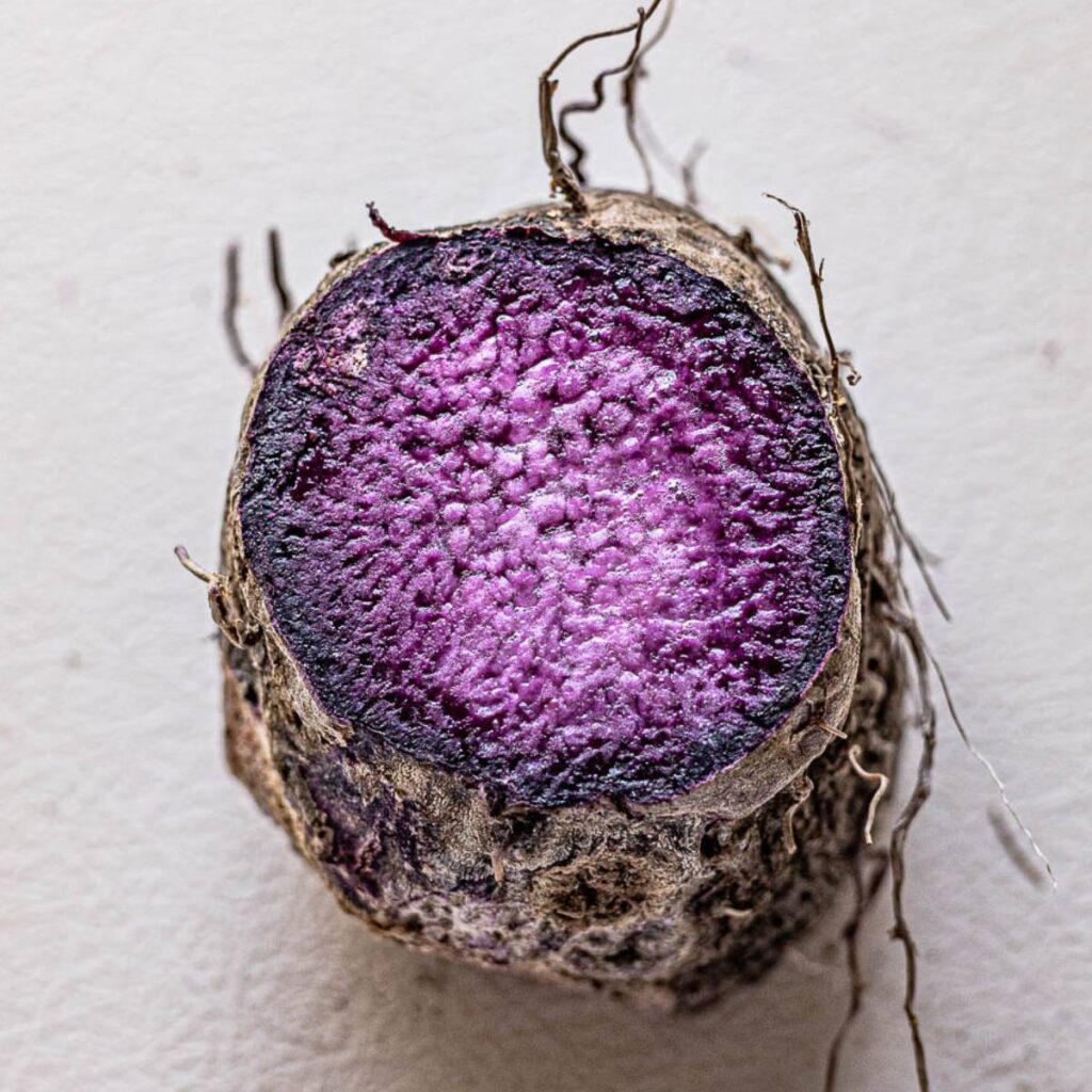 Minimalist Thanksgiving Tablescape - Rezel Kealoha